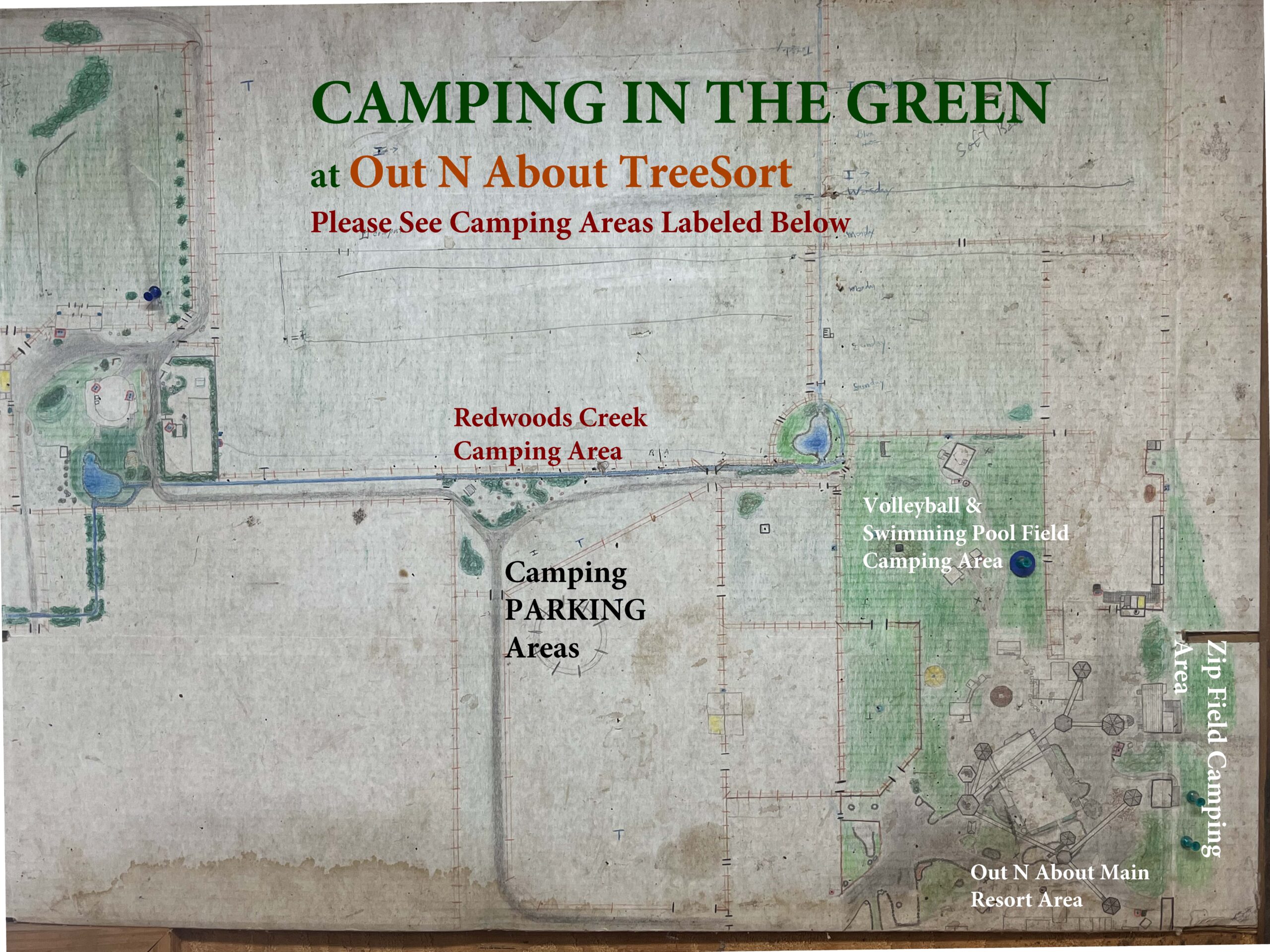 Field Trip Celebration - Out N About Treesort